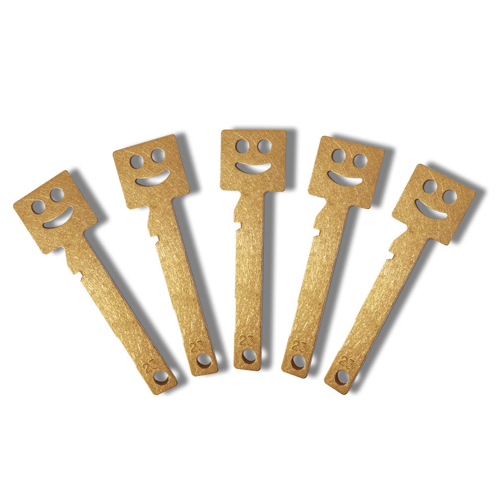 Sleutels voor easy entrie machine (per 10) – Secupro Nederland BV